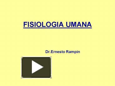 PPT – FISIOLOGIA UMANA PowerPoint presentation | free to download - id ...