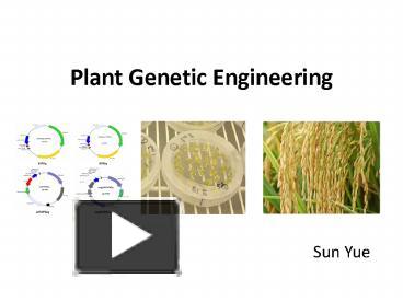 PPT – Plant Genetic Engineering PowerPoint presentation | free to view ...
