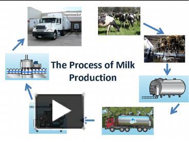 The Process of Milk Production presentation | free to download