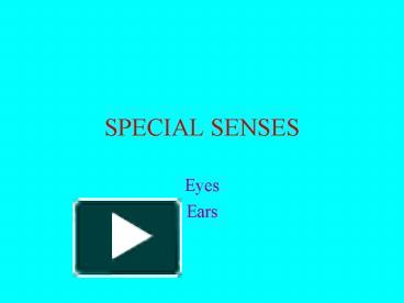 SPECIAL SENSES presentation | free to view