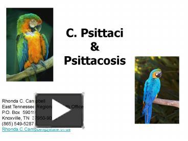 C' Psittaci presentation | free to view