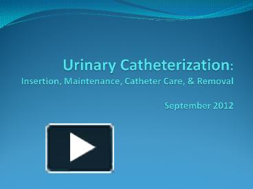 Urinary Catheterization: Insertion, Maintenance, Catheter Care ...
