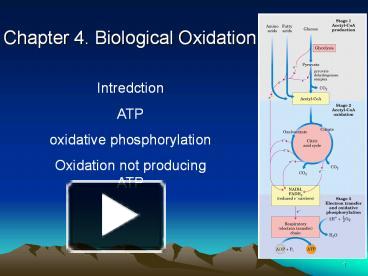 Chapter 4. Biological Oxidation presentation | free to view