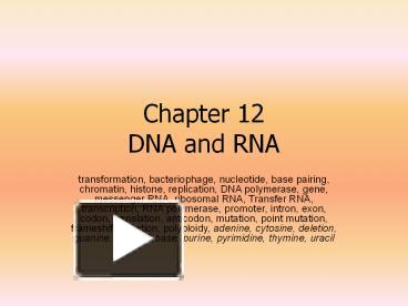 Chapter 12 DNA and RNA presentation | free to download