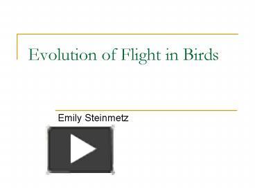 Evolution of Flight in Birds presentation | free to view