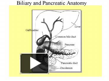 PPT – Biliary and Pancreatic Anatomy PowerPoint presentation | free to ...