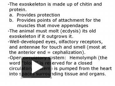 PPT – -The exoskeleton is made up of chitin and PowerPoint presentation ...