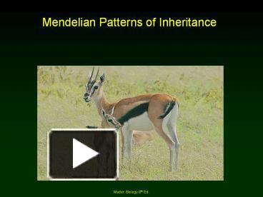 PPT – Mendelian Patterns of Inheritance PowerPoint presentation | free ...