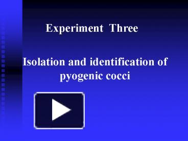 Isolation and identification of pyogenic cocci presentation | free to view