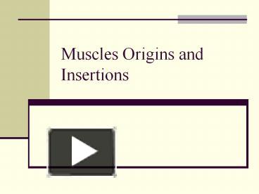 Muscles Origins and Insertions presentation | free to download