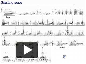 PPT – 1 sec PowerPoint presentation | free to download - id: 54f5ee-NTVkY