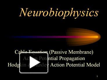 Neurobiophysics presentation | free to download