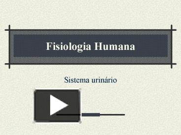 PPT – Fisiologia Humana PowerPoint presentation | free to download - id ...