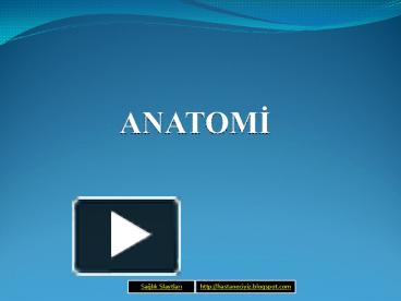 PPT – ANATOMI PowerPoint presentation | free to download - id: 556a68-OGYwM
