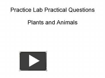 Practice Lab Practical Questions presentation | free to view
