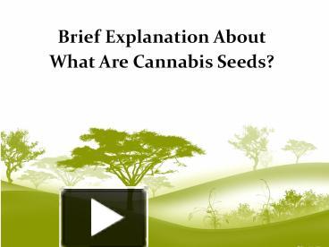 PPT – Brief Explanation About What are cannabis PowerPoint presentation ...