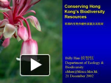 Billy Hau ??? presentation | free to view
