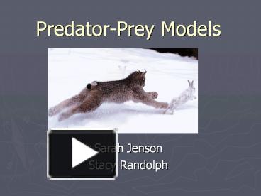 Predator-Prey Models presentation | free to view