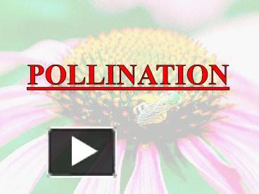 Lecture 13: POLLINATION presentation | free to view