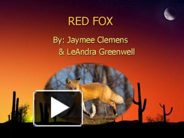 RED FOX presentation | free to view