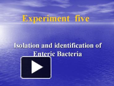 Isolation and identification of Enteric Bacteria presentation | free to ...