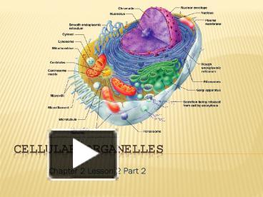 Cellular organelles presentation | free to download