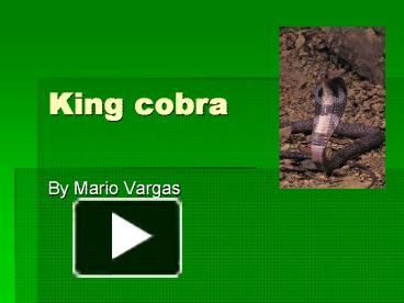 PPT – King cobra PowerPoint presentation | free to view - id: 56089-NWY2N
