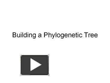 PPT – Building a Phylogenetic Tree PowerPoint presentation | free to ...