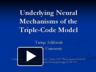 Underlying Neural Mechanisms of the Triple-Code Model presentation ...