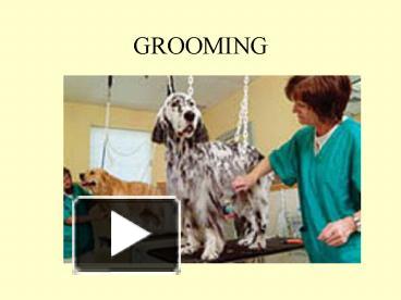 GROOMING presentation | free to view
