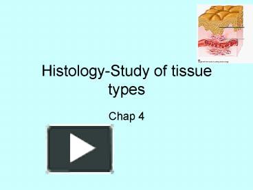 PPT – Histology-Study of tissue types PowerPoint presentation | free to ...