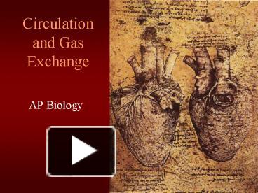 PPT – Circulation and Gas Exchange PowerPoint presentation | free to ...