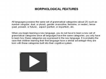 PPT – MORPHOLOGICAL FEATURES PowerPoint presentation | free to view ...