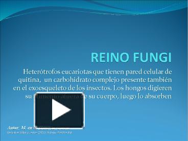 PPT – REINO FUNGI PowerPoint presentation | free to download - id ...