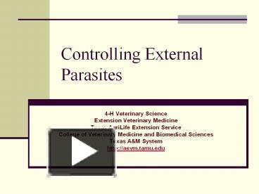 Controlling External Parasites presentation | free to download