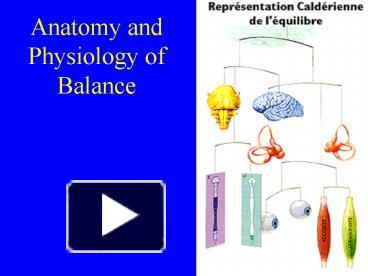 Anatomy and Physiology of Balance presentation | free to download
