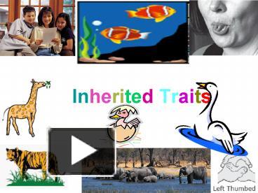 PPT – Inherited Traits PowerPoint presentation | free to download - id ...