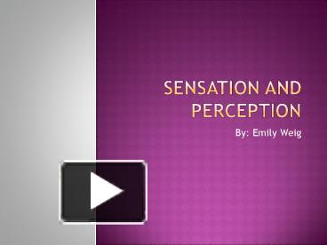 PPT – Sensation and Perception PowerPoint presentation | free to view ...