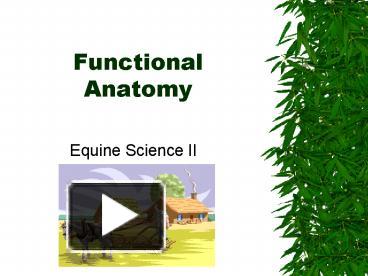 PPT – Functional Anatomy PowerPoint presentation | free to view - id ...