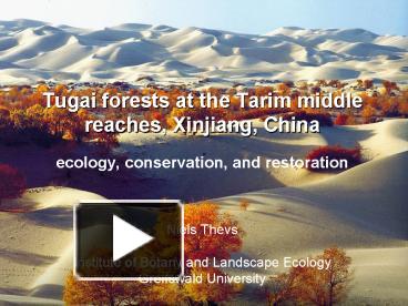 Tugai forests at the Tarim middle reaches, Xinjiang, China ecology ...