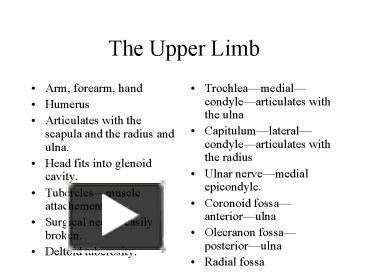 PPT – The Upper Limb PowerPoint presentation | free to view - id: 58662 ...