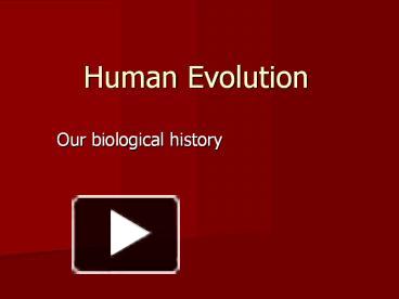 PPT – Human Evolution PowerPoint presentation | free to view - id ...