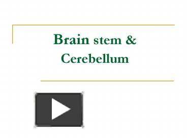 PPT – Brain stem PowerPoint presentation | free to view - id: 589b19-N2U0N