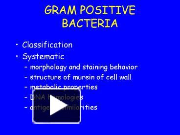 GRAM POSITIVE BACTERIA presentation | free to view
