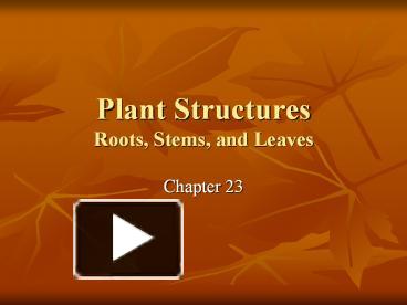 Plant Structures Roots, Stems, and Leaves presentation | free to download