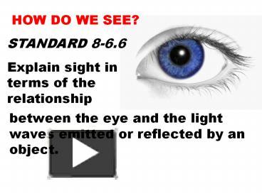 HOW DO WE SEE? presentation | free to view