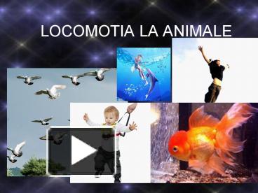 LOCOMOTIA LA ANIMALE presentation | free to download