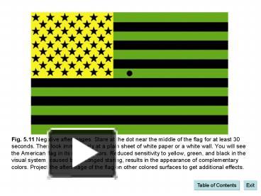 Fig. 5.11 Negative afterimages. Stare at the dot near the middle of the ...