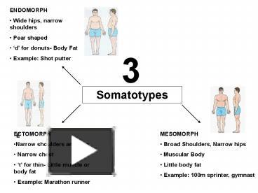 PPT – Somatotypes PowerPoint presentation | free to download - id ...