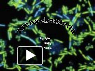 PPT – Archaebacteria PowerPoint presentation | free to view - id ...